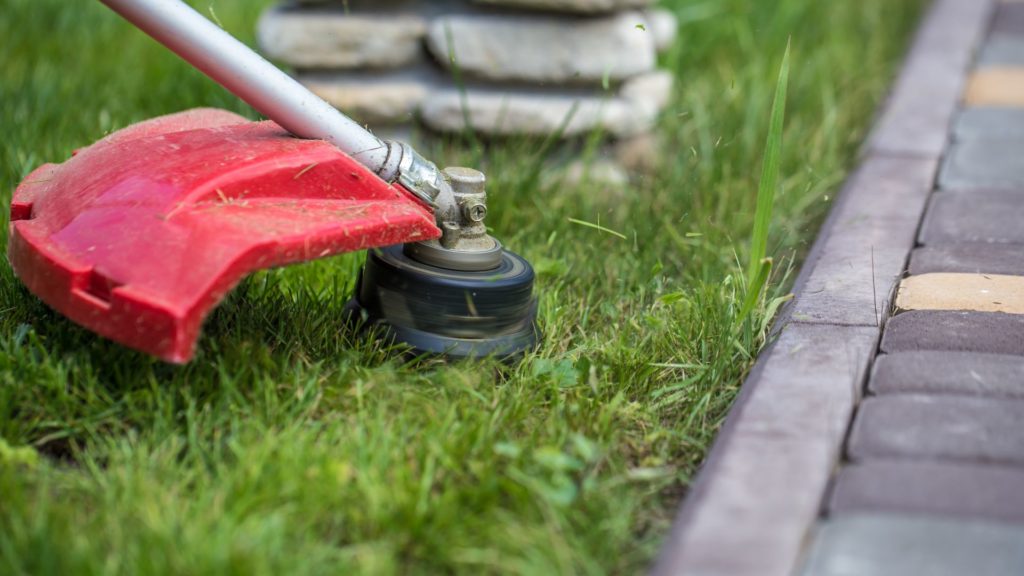 6 Best Lawn Care Business Software 2024 (In-Depth Reviews)