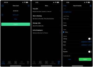 Honest Timeero Review: Pros, Cons, Features & Pricing